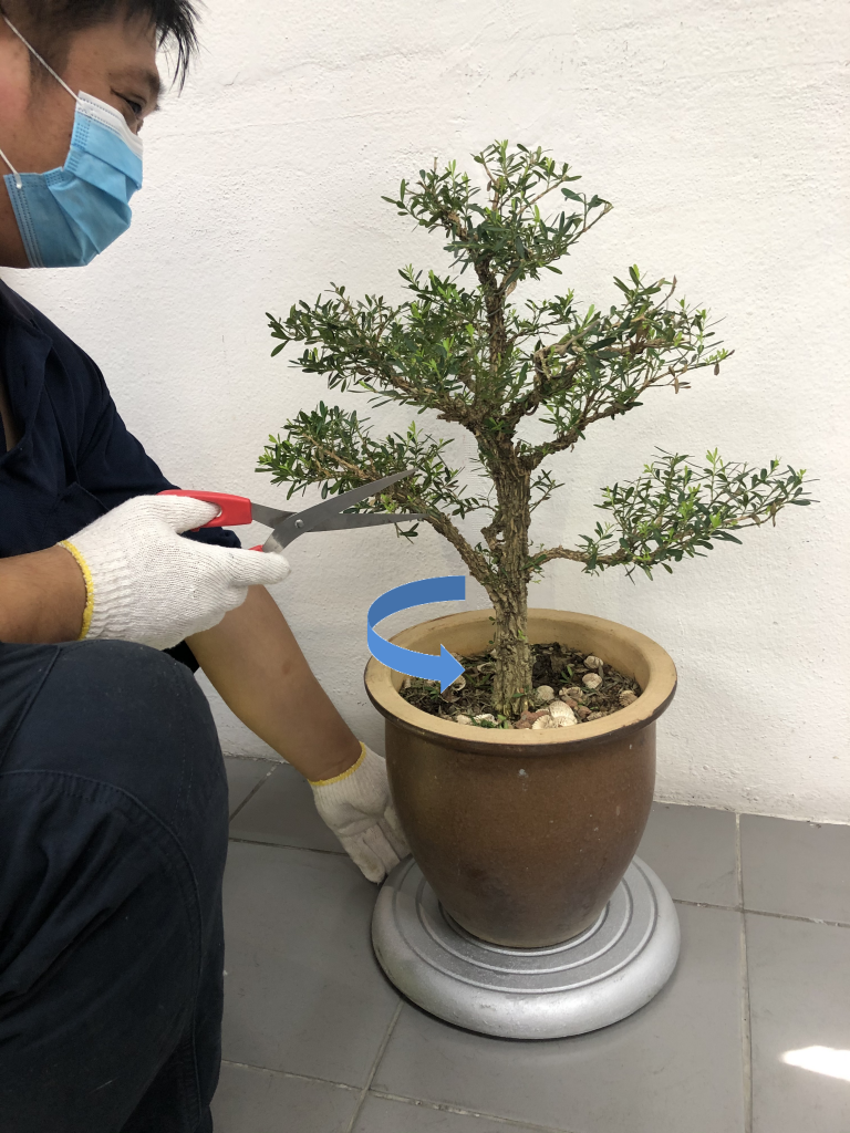 Aluminium Bonsai Turntable (Round) – Ho Yow